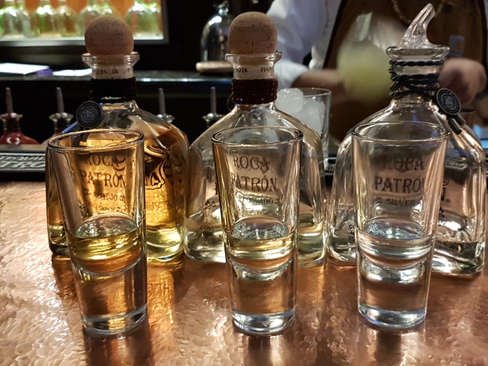 Patron Tequila Distillery Tour | Travel Distilled