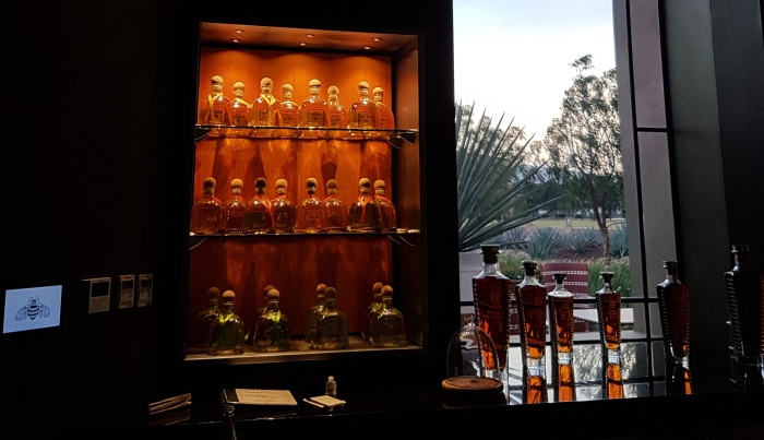 Patron Tequila Distillery Tour | Travel Distilled