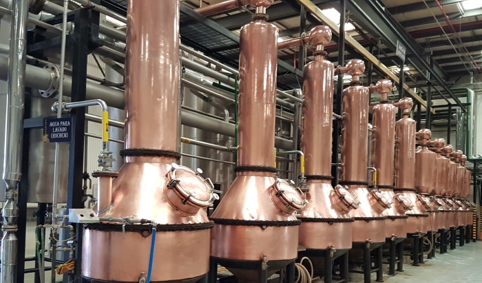 Patron Tequila Distillery Tour | Travel Distilled