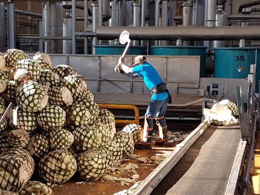 Don Julio Blanco Tequila | Travel Distilled