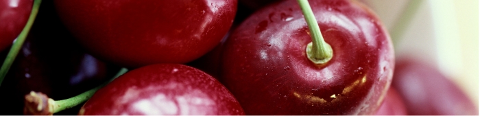 Davna Cherry Vodka Review | Travel Distilled