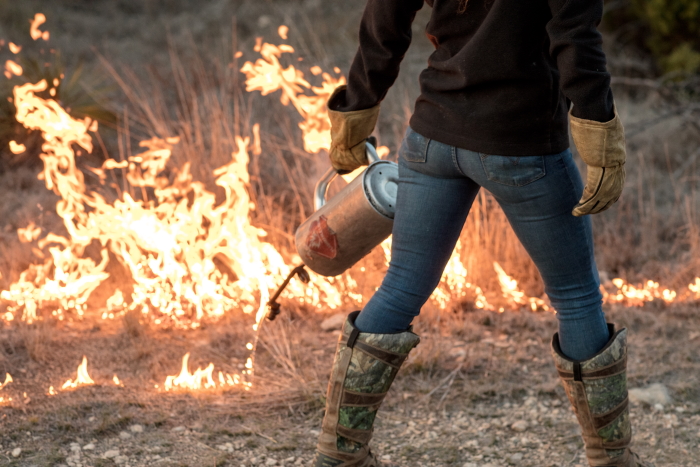 Back Burn Texas Sotol | Travel Distilled