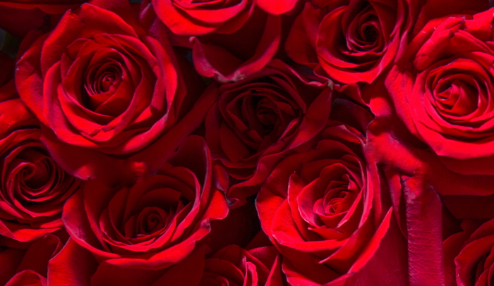 Four Roses Small Batch Bourbon | Travel Distilled