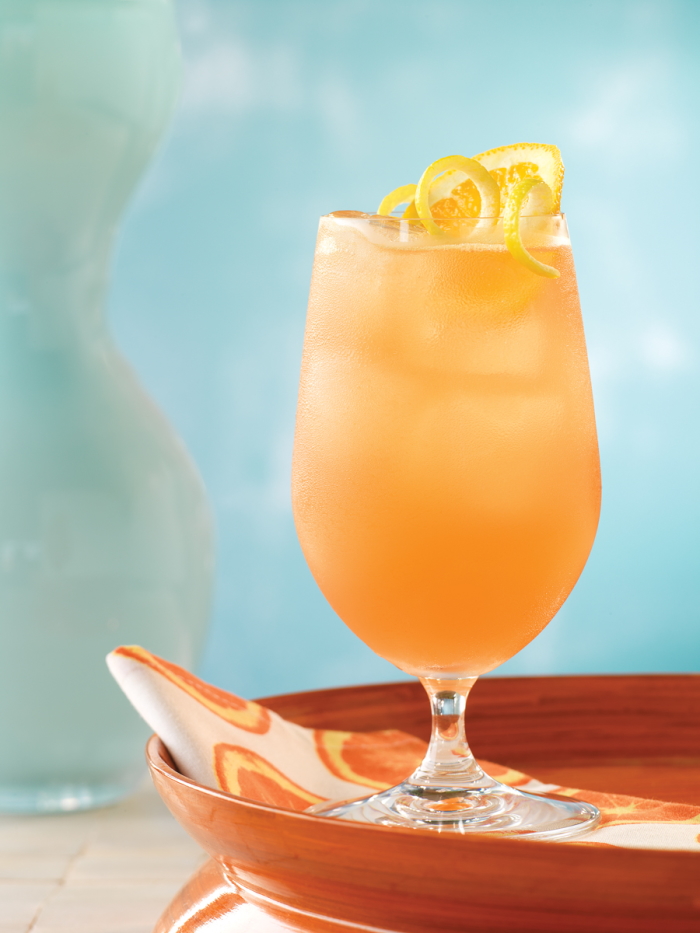 The Modern Mixologist | Travel Distilled