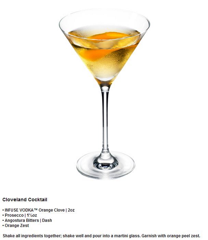 Infuse Orange Clove Vodka | Travel Distilled