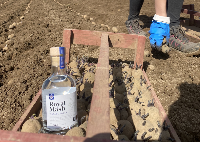 Royal Mash Vintage Vodka | Travel Distilled